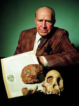 La evolución humana, toda una aventura biológica - I » Las nueve musas